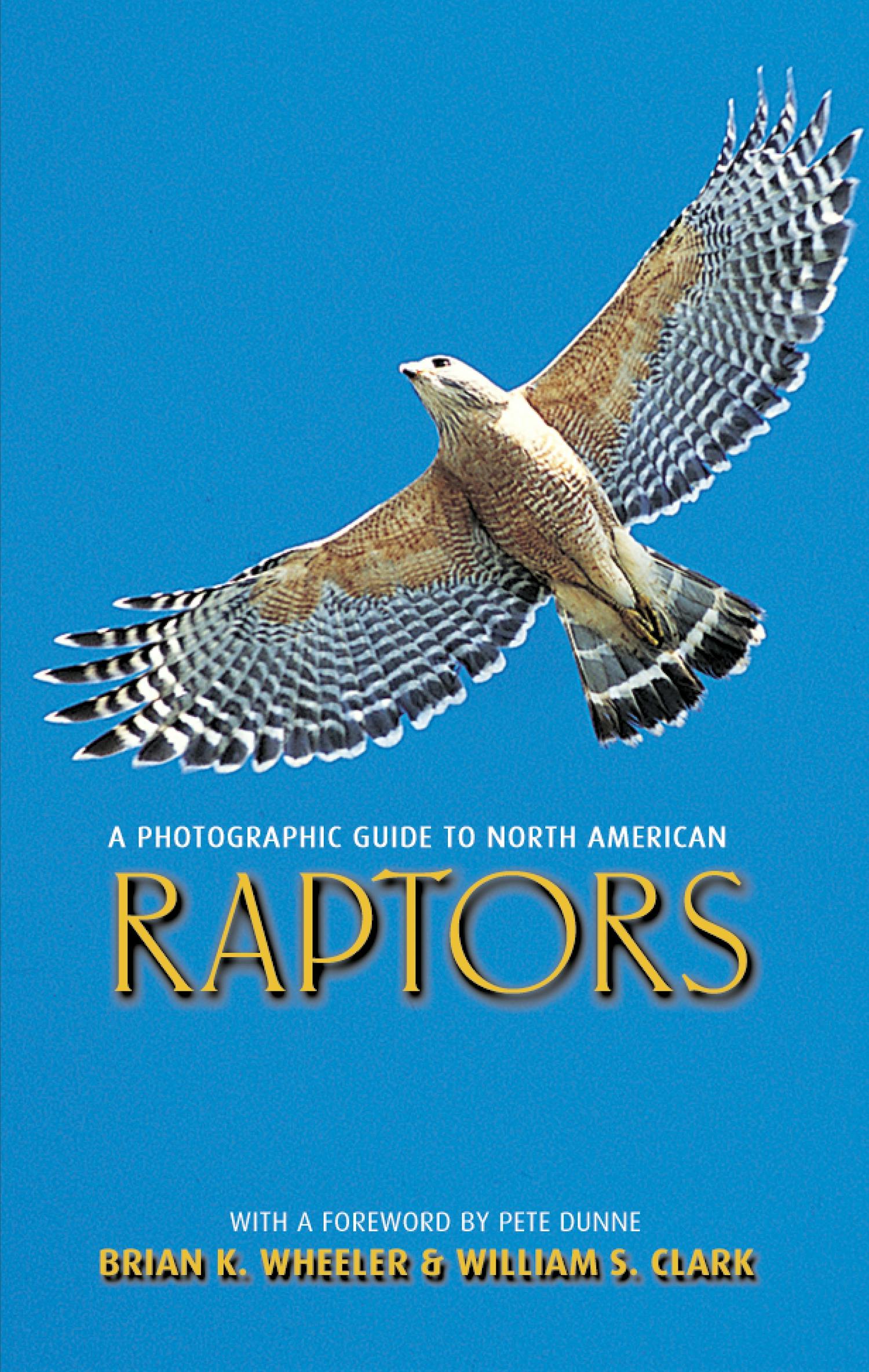 A Photographic Guide to North American Raptors | Princeton University Press