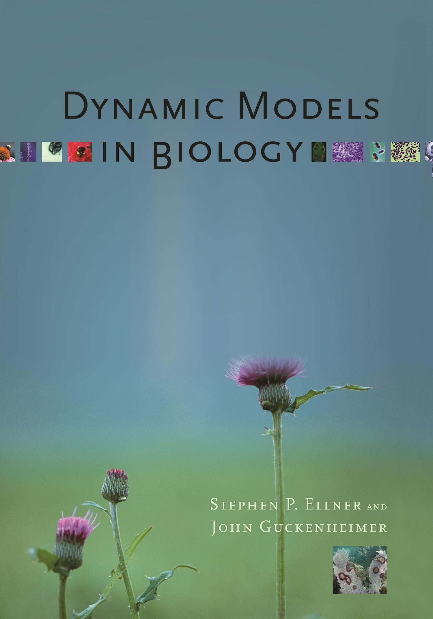 Dynamic Models in Biology | Princeton University Press