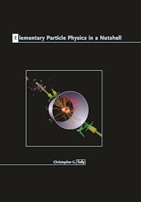 Elementary Particle Physics in a Nutshell | Princeton University Press