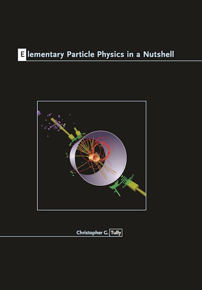 Elementary Particle Physics in a Nutshell | Princeton University Press