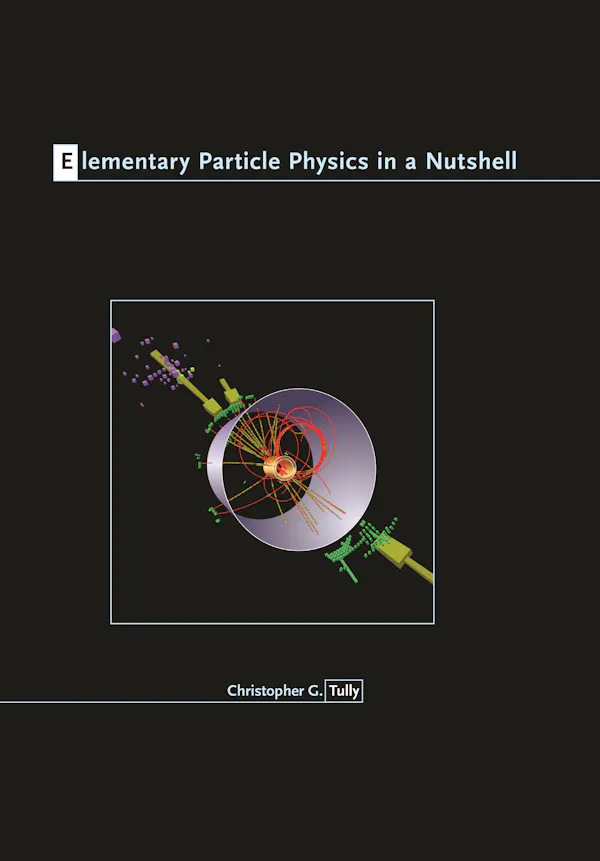 Elementary Particle Physics in a Nutshell | Princeton University Press