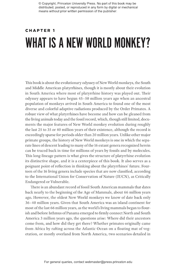 New World Monkeys | Princeton University Press