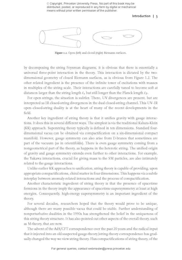 String Theory in a Nutshell | Princeton University Press