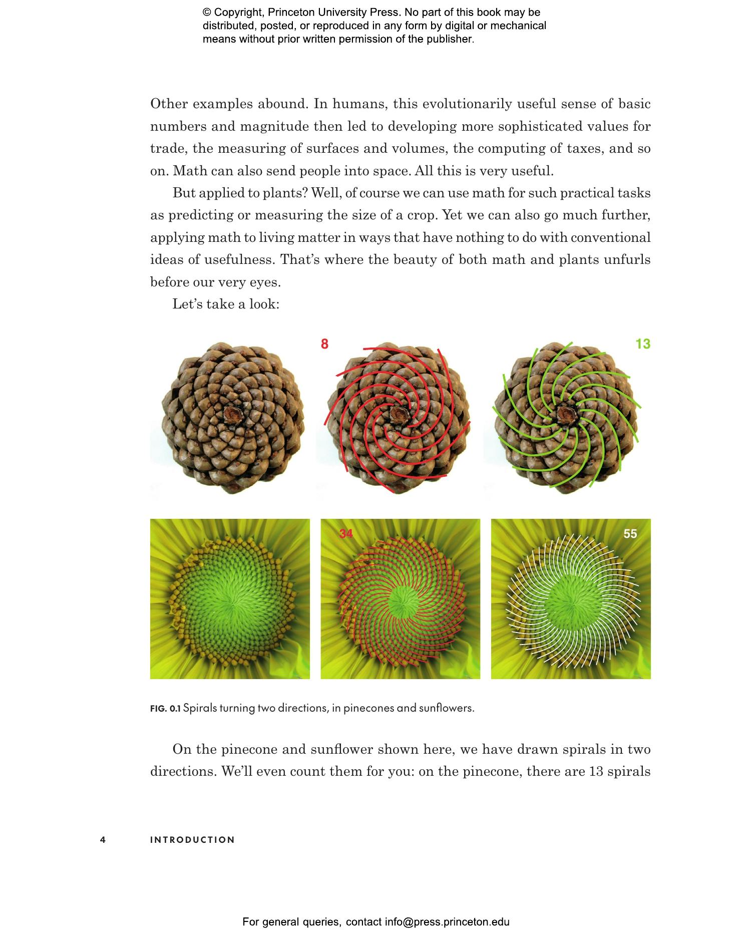 Do Plants Know Math? | Princeton University Press