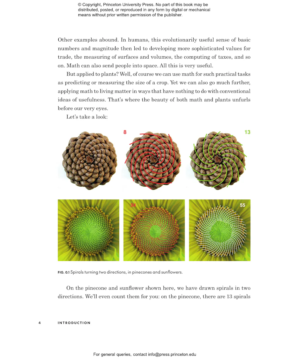Do Plants Know Math? | Princeton University Press