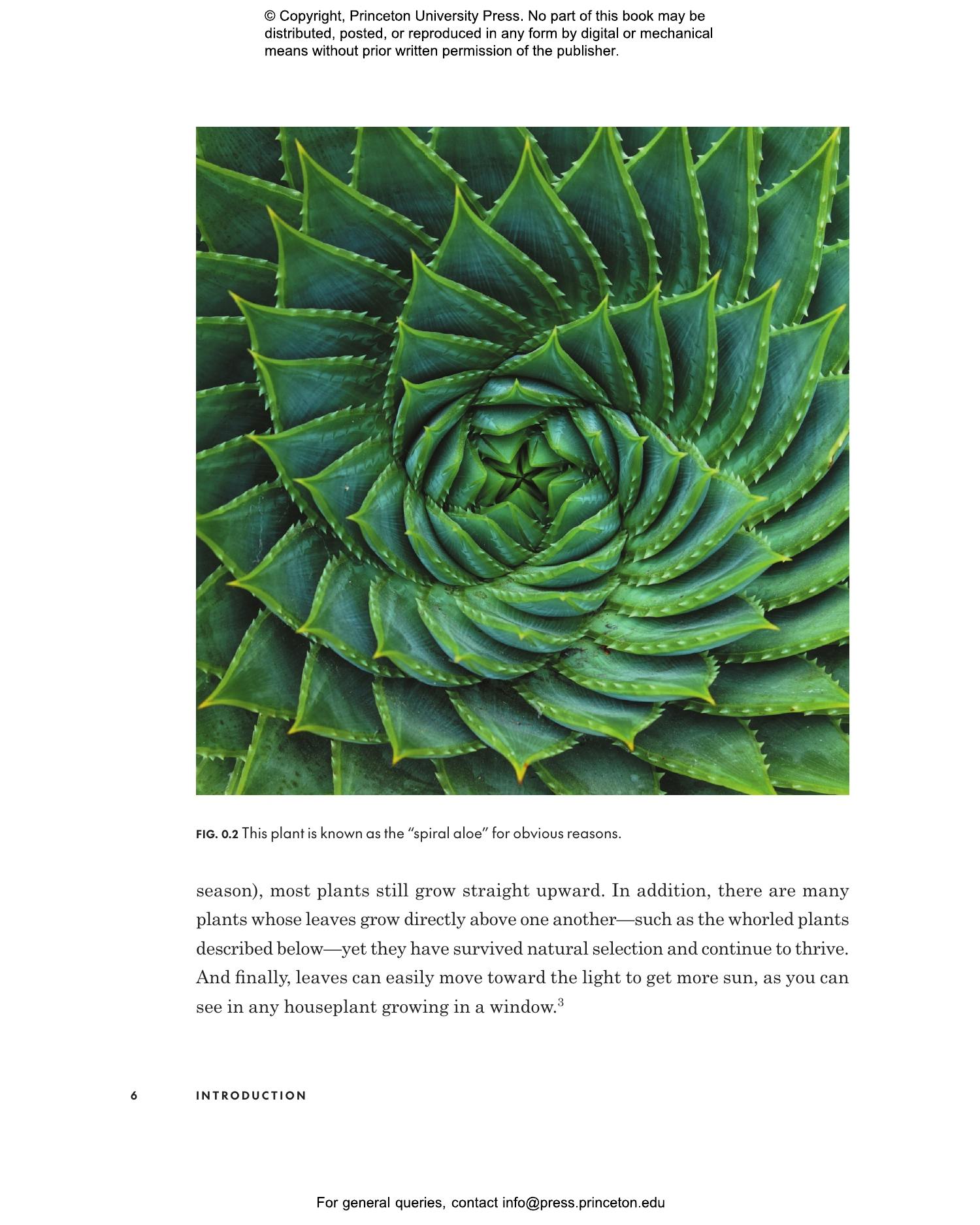Do Plants Know Math? | Princeton University Press