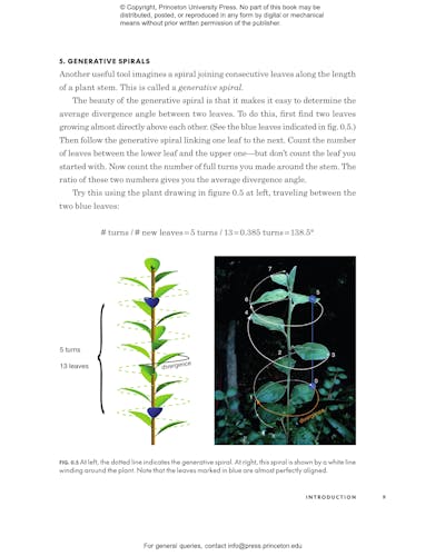 Do Plants Know Math? | Princeton University Press