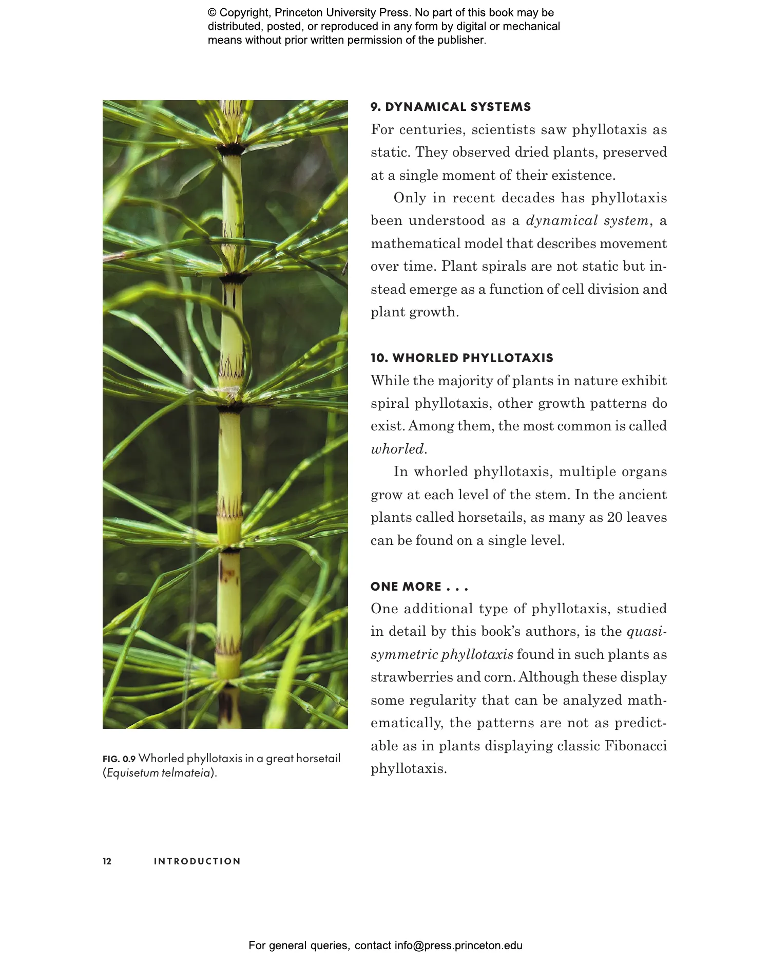 Do Plants Know Math? | Princeton University Press