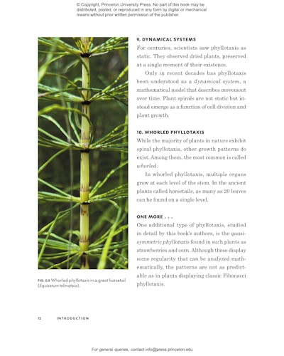 Do Plants Know Math? | Princeton University Press