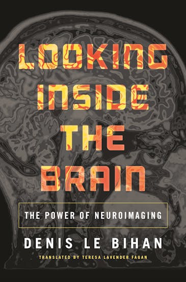 Looking Inside the Brain | Princeton University Press