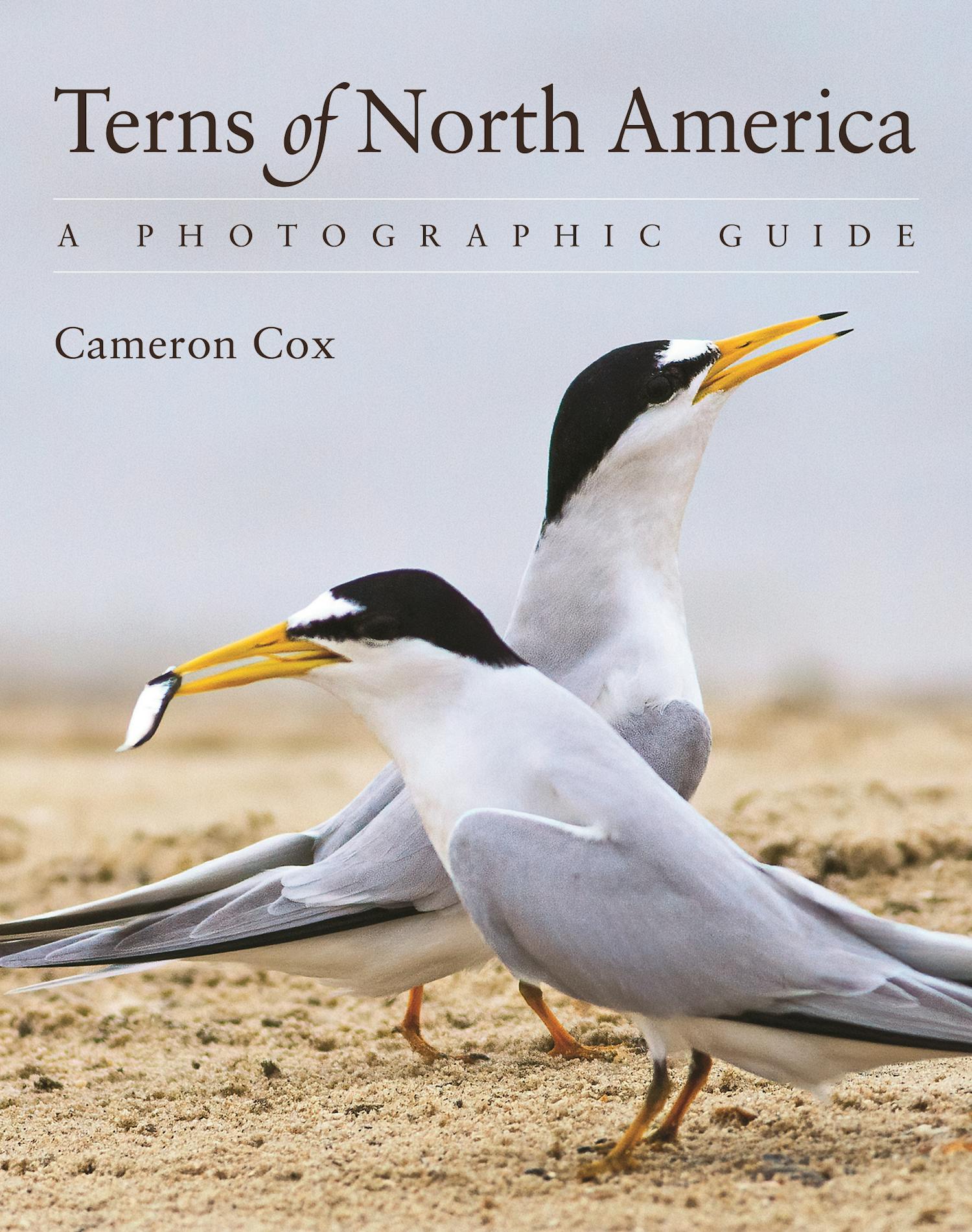 Birds of Eastern North America | Princeton University Press