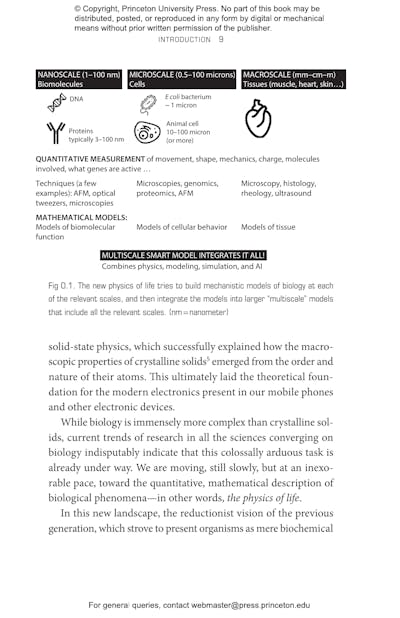 Nano Comes to Life | Princeton University Press