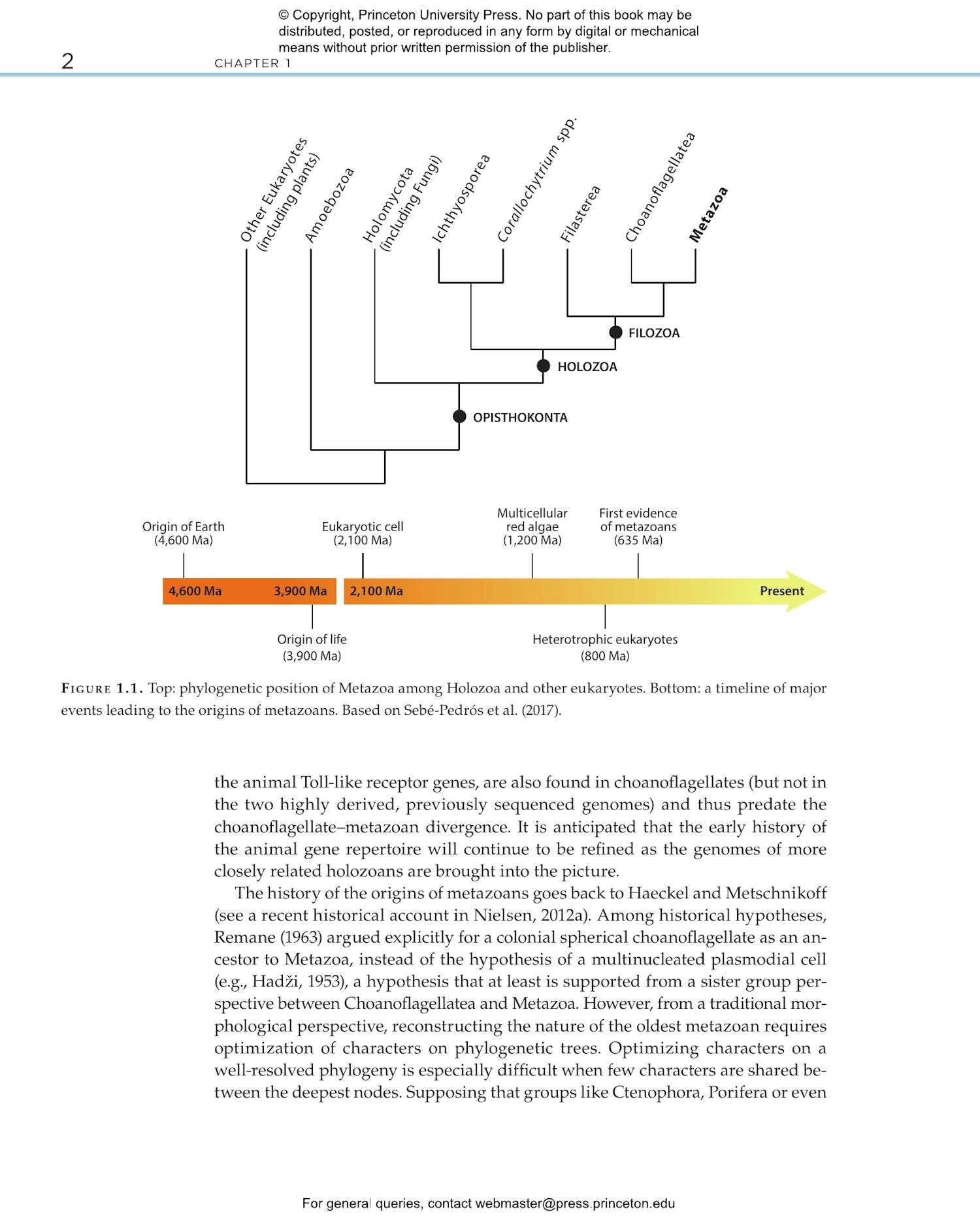 The Invertebrate Tree of Life | Princeton University Press