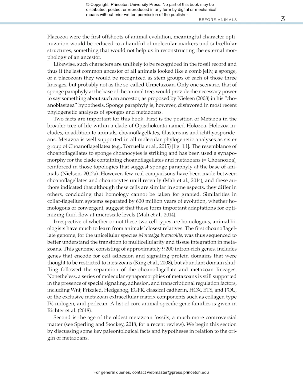 The Invertebrate Tree of Life | Princeton University Press