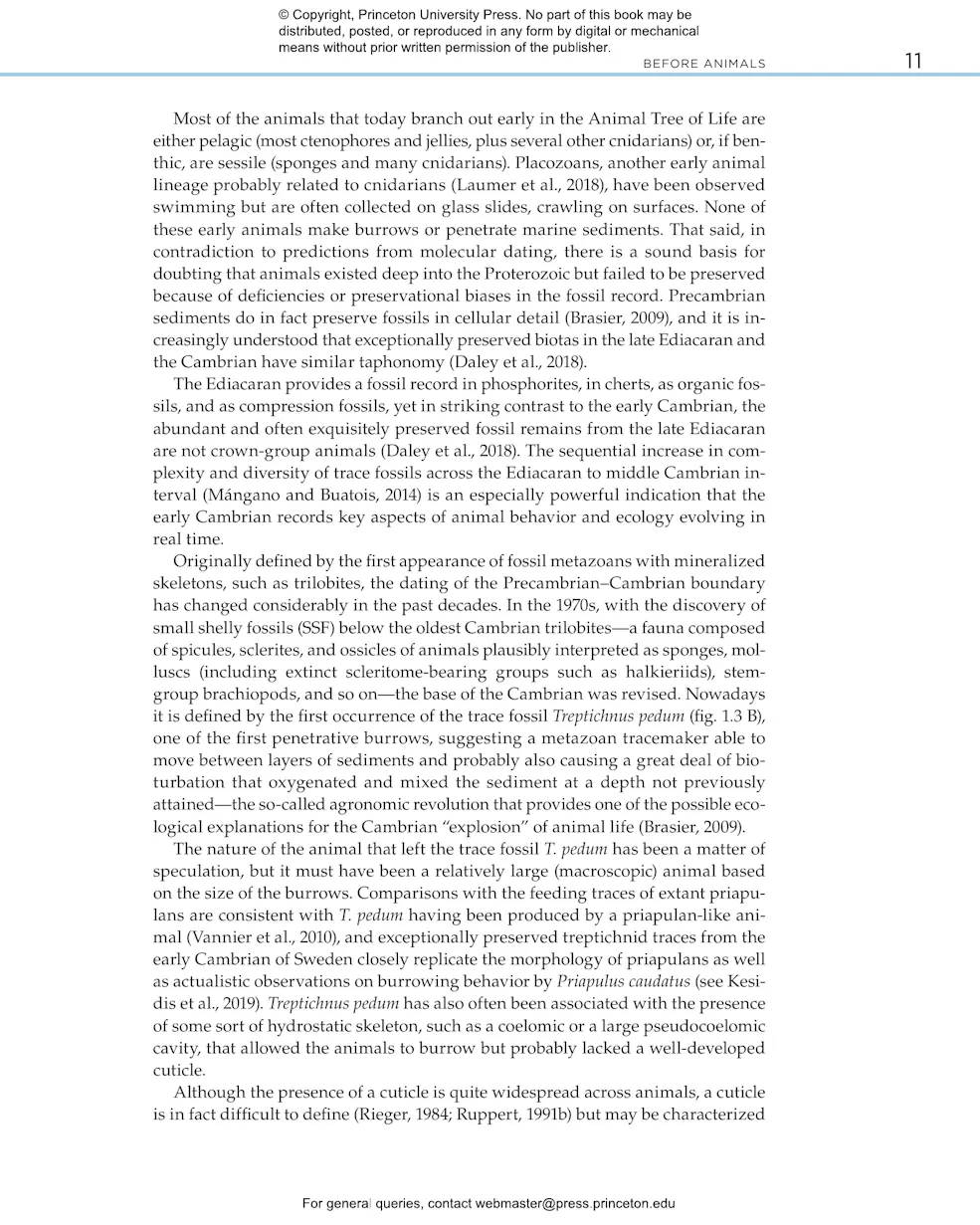 The Invertebrate Tree of Life | Princeton University Press