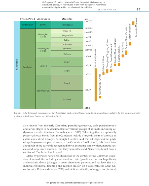 The Invertebrate Tree of Life | Princeton University Press