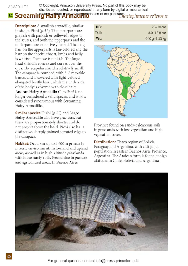 A Field Guide to the Larger Mammals of South America | Princeton ...