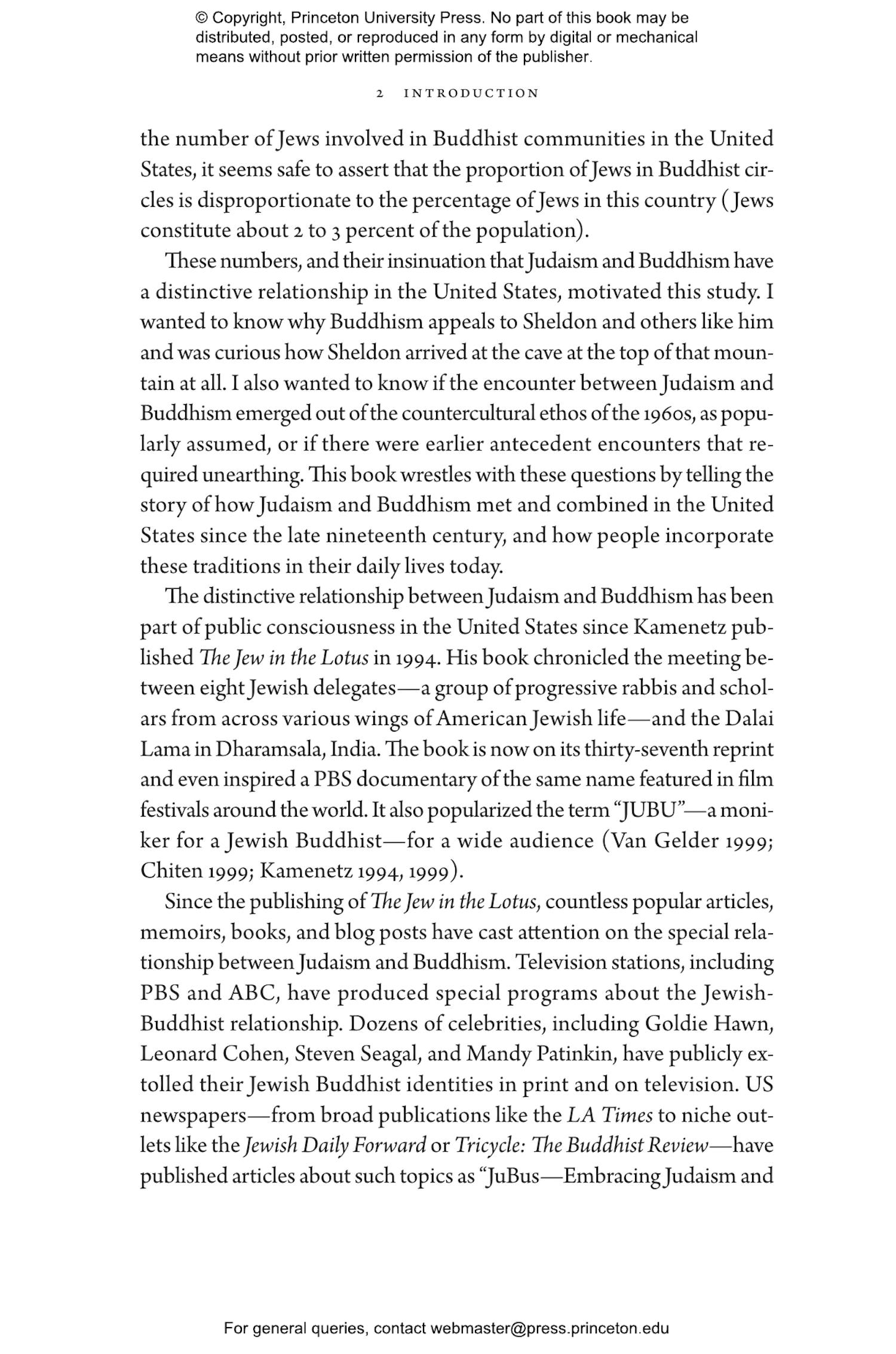 American JewBu | Princeton University Press