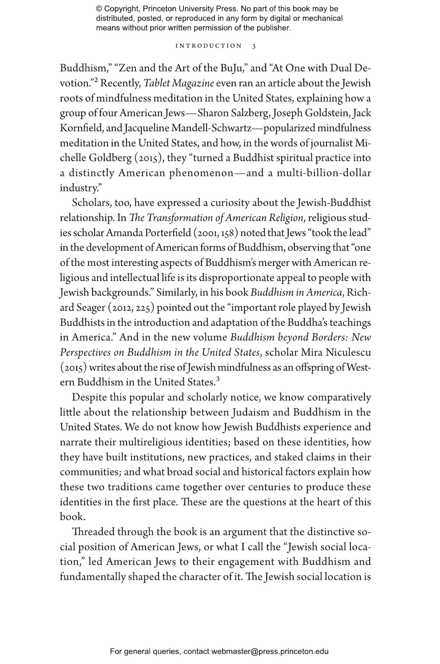 American JewBu | Princeton University Press