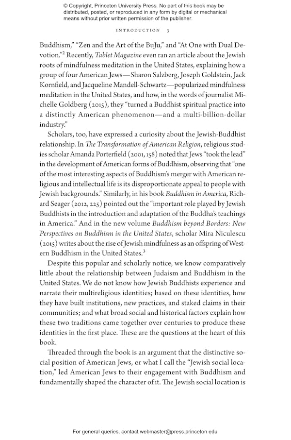 American JewBu | Princeton University Press