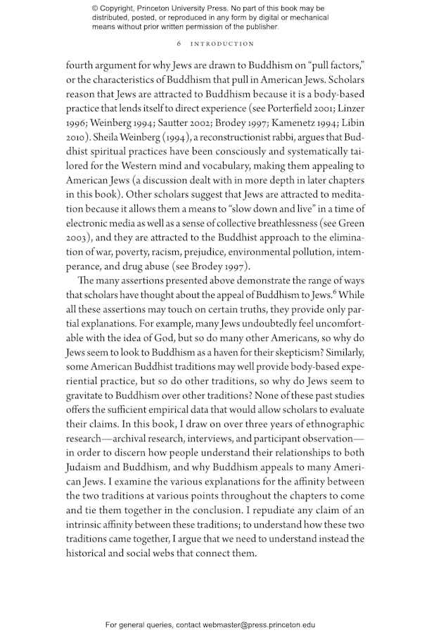 American JewBu | Princeton University Press