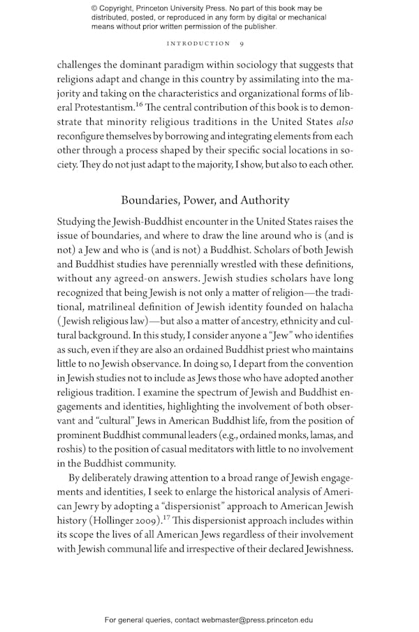 American JewBu | Princeton University Press