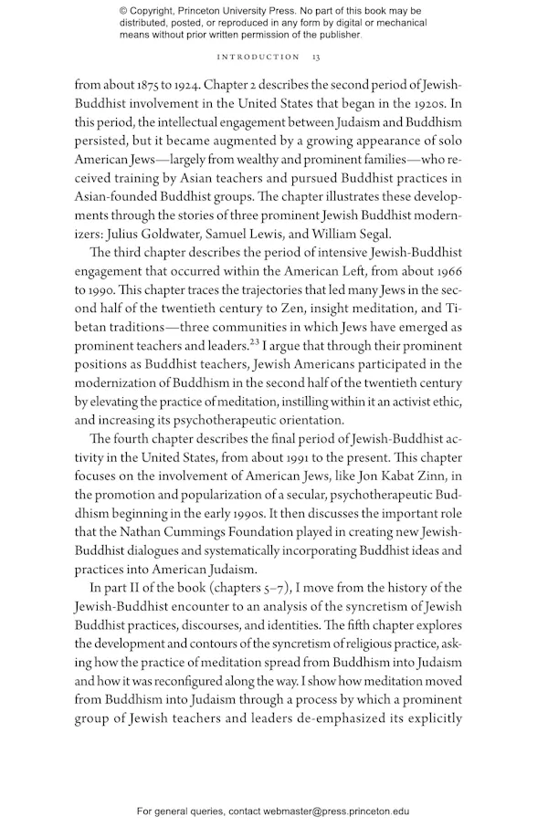 American JewBu | Princeton University Press