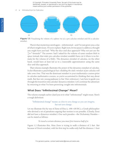 Calculus Simplified | Princeton University Press