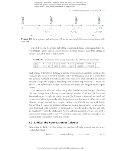 Calculus Simplified | Princeton University Press