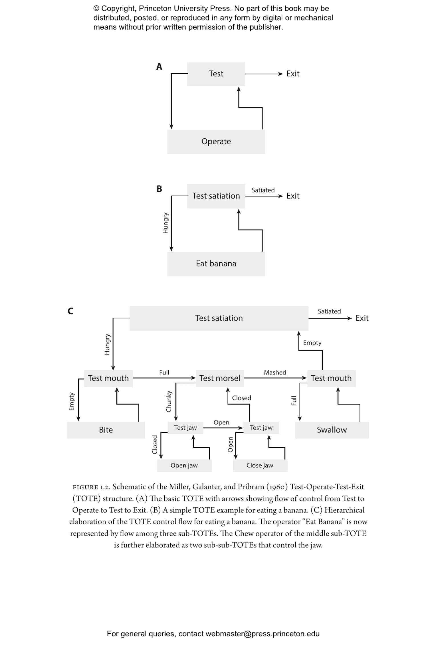 On Task | Princeton University Press