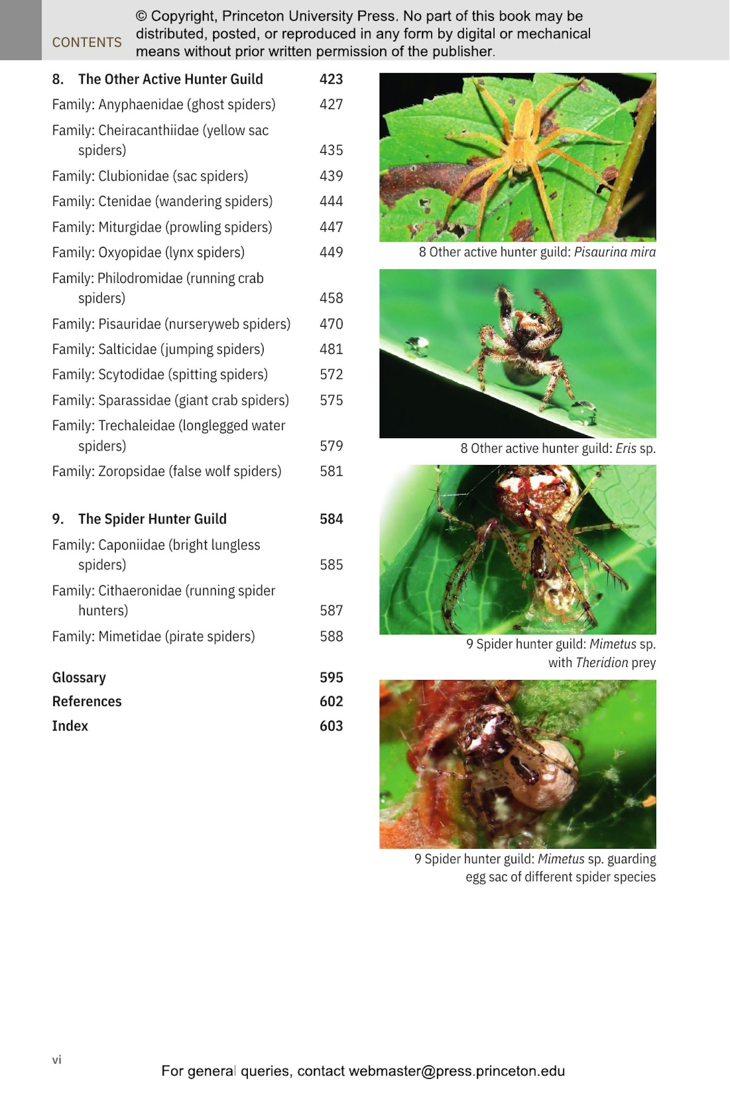 Spiders of North America | Princeton University Press