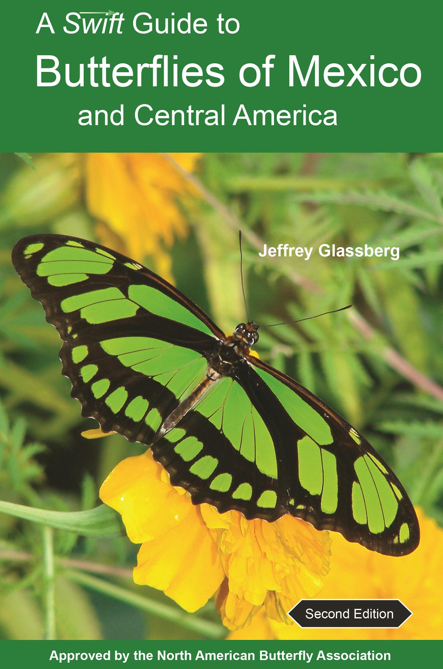 A Swift Guide to Butterflies of Mexico and Central America | Princeton ...