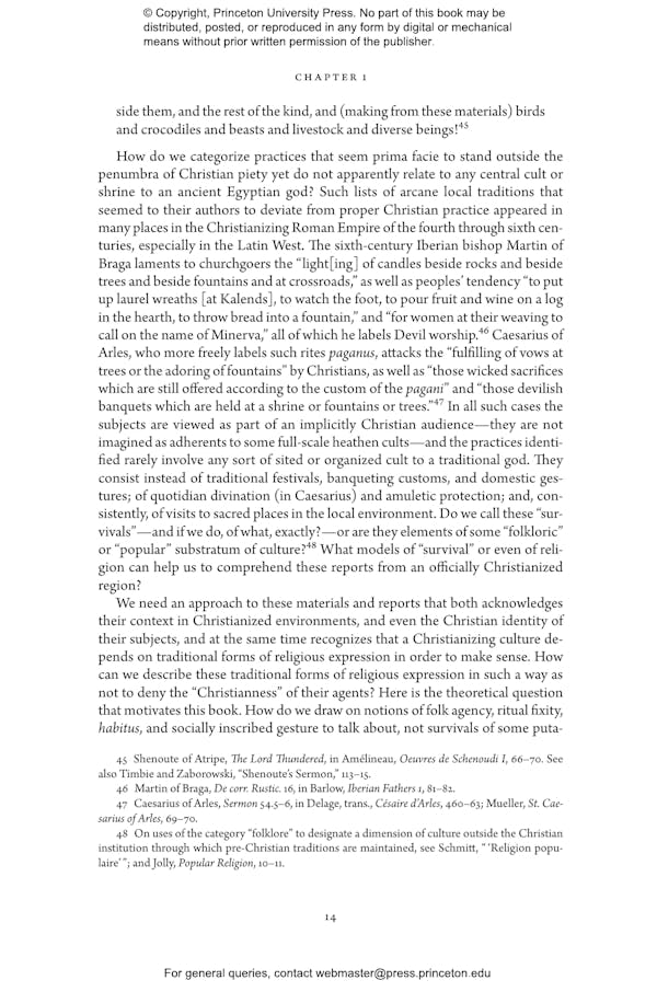 Christianizing Egypt | Princeton University Press