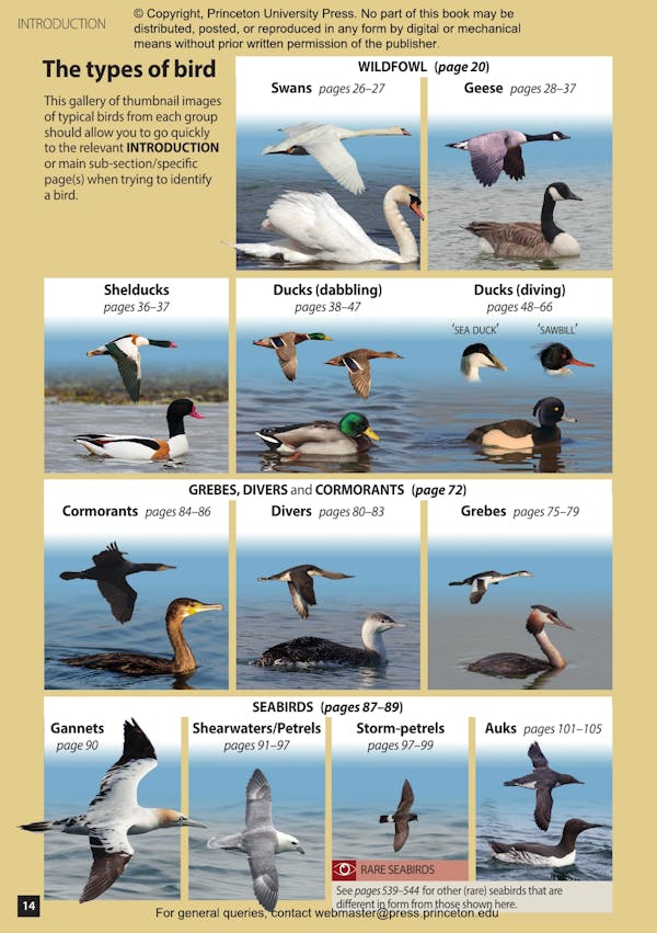 Europe's Birds | Princeton University Press