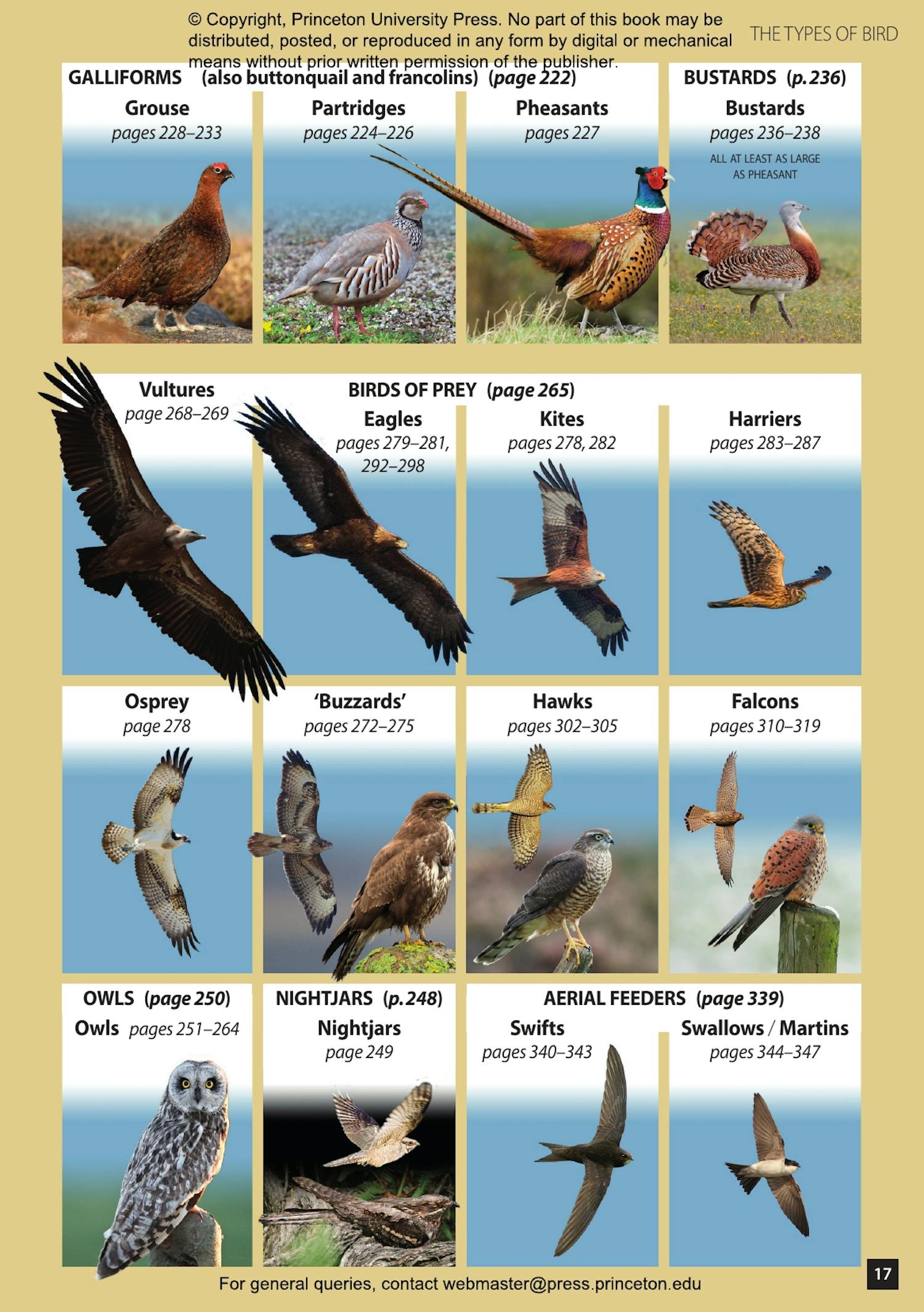 Europe's Birds | Princeton University Press