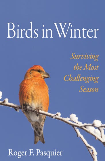Birds in Winter | Princeton University Press