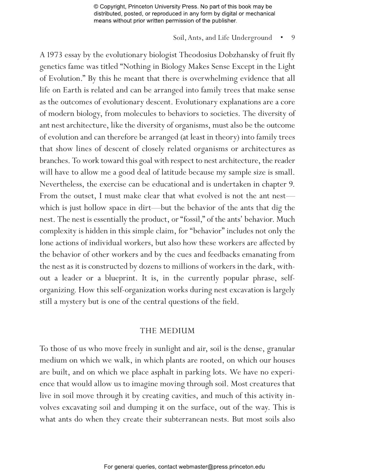 Ant Architecture | Princeton University Press