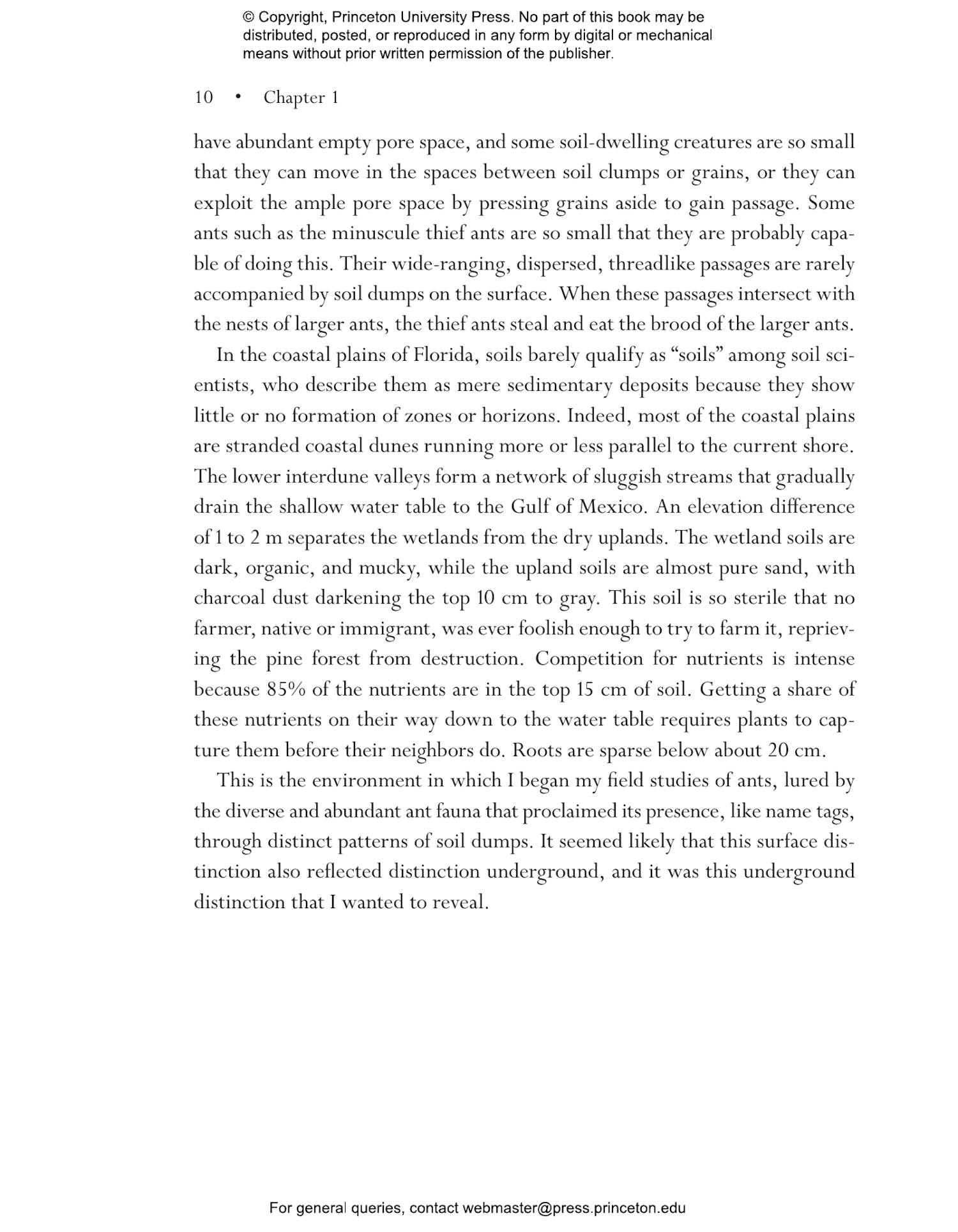 Ant Architecture | Princeton University Press