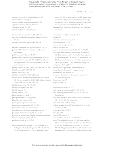 Ant Architecture | Princeton University Press