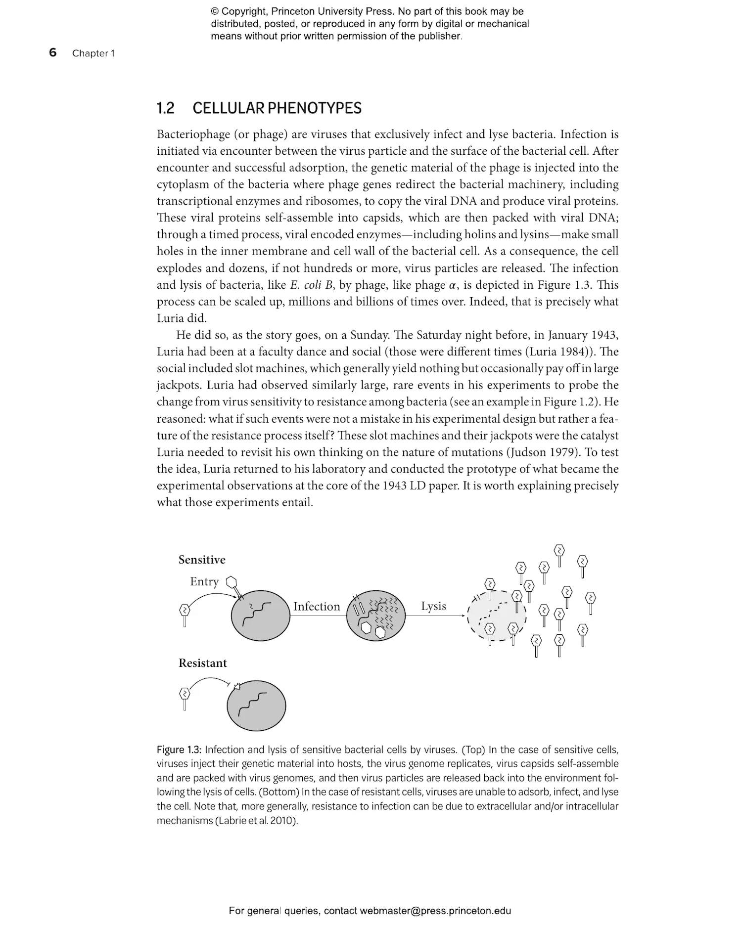 Quantitative Biosciences | Princeton University Press