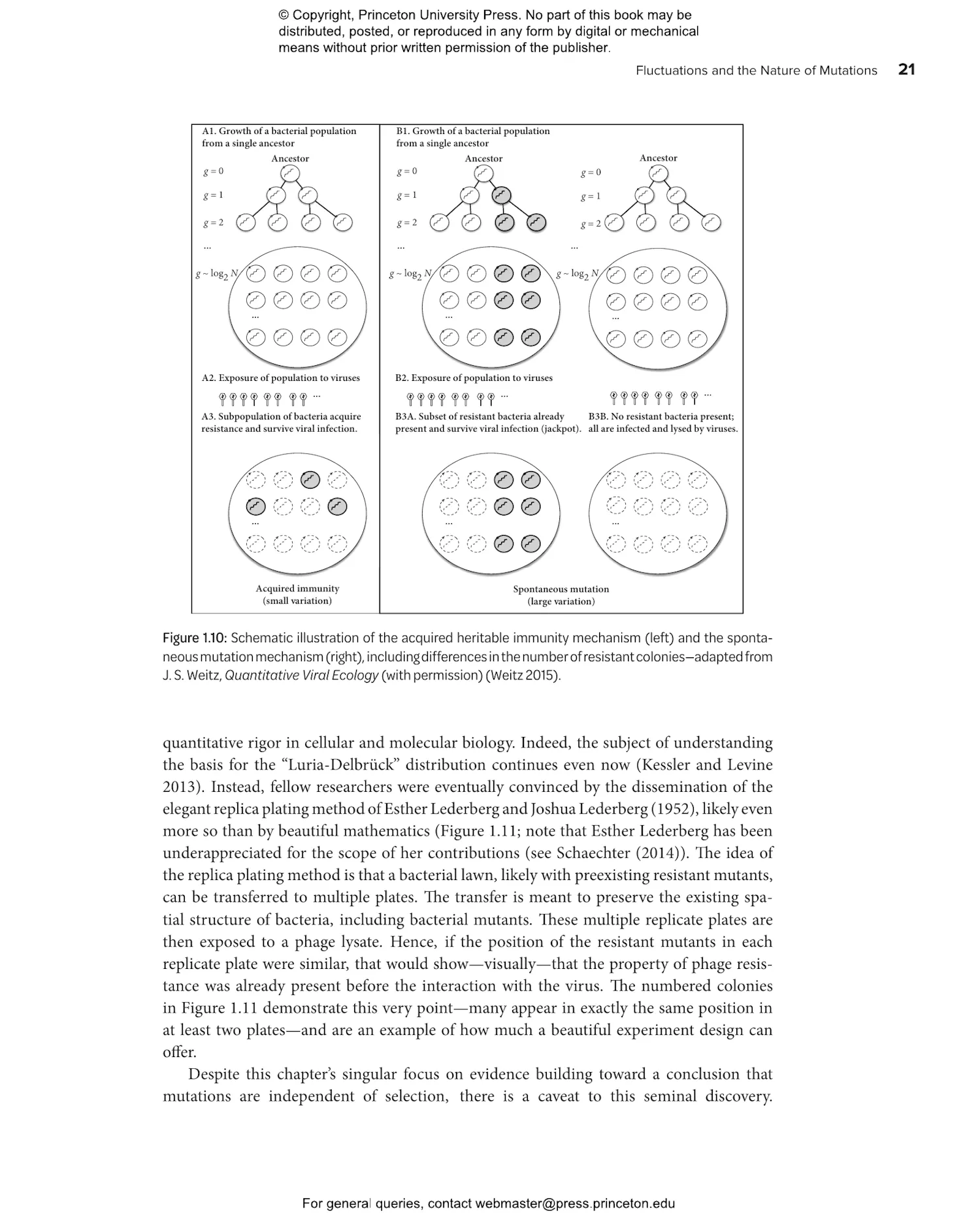 Quantitative Biosciences | Princeton University Press