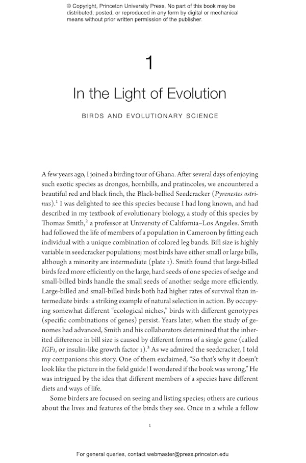 How Birds Evolve | Princeton University Press