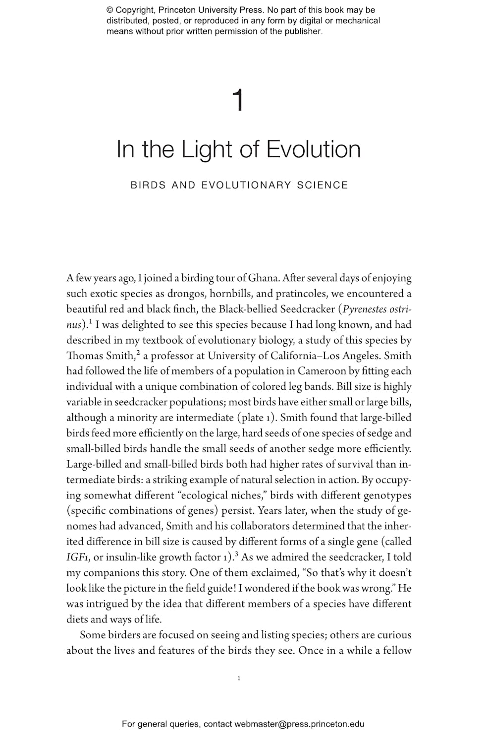 How Birds Evolve | Princeton University Press