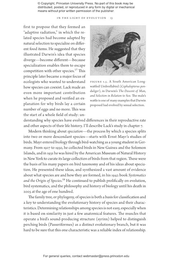 How Birds Evolve | Princeton University Press