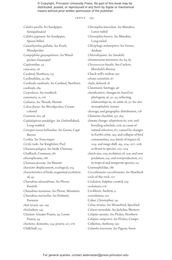 How Birds Evolve | Princeton University Press