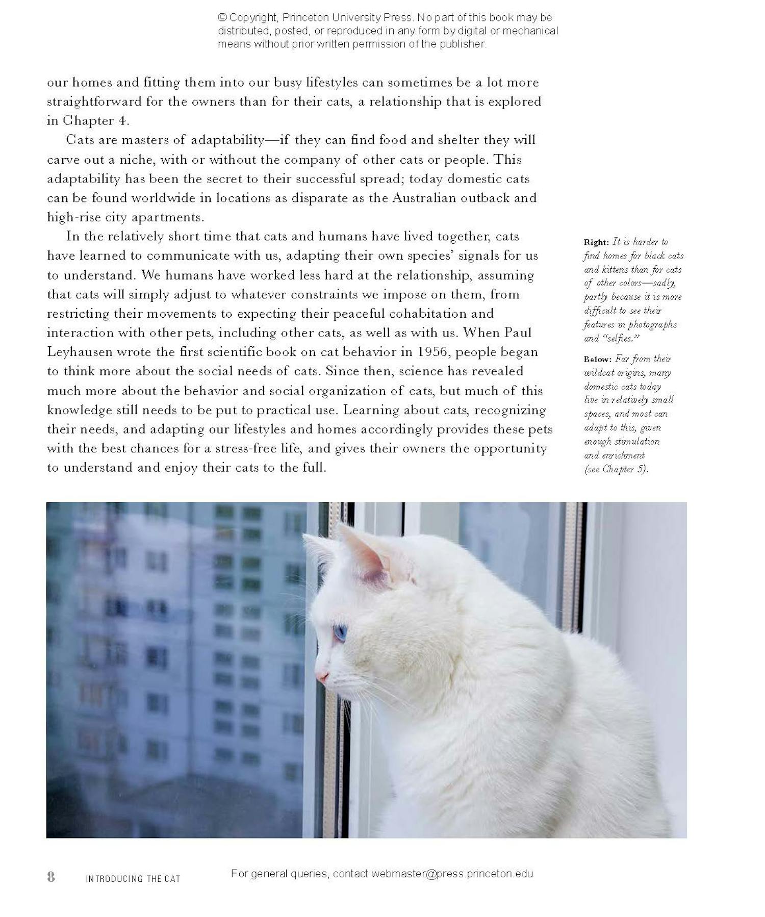 The Cat | Princeton University Press