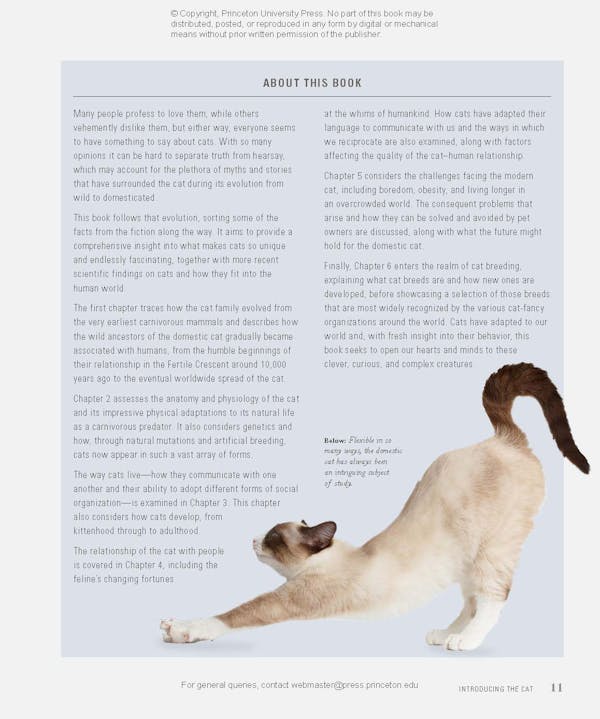 The Cat | Princeton University Press