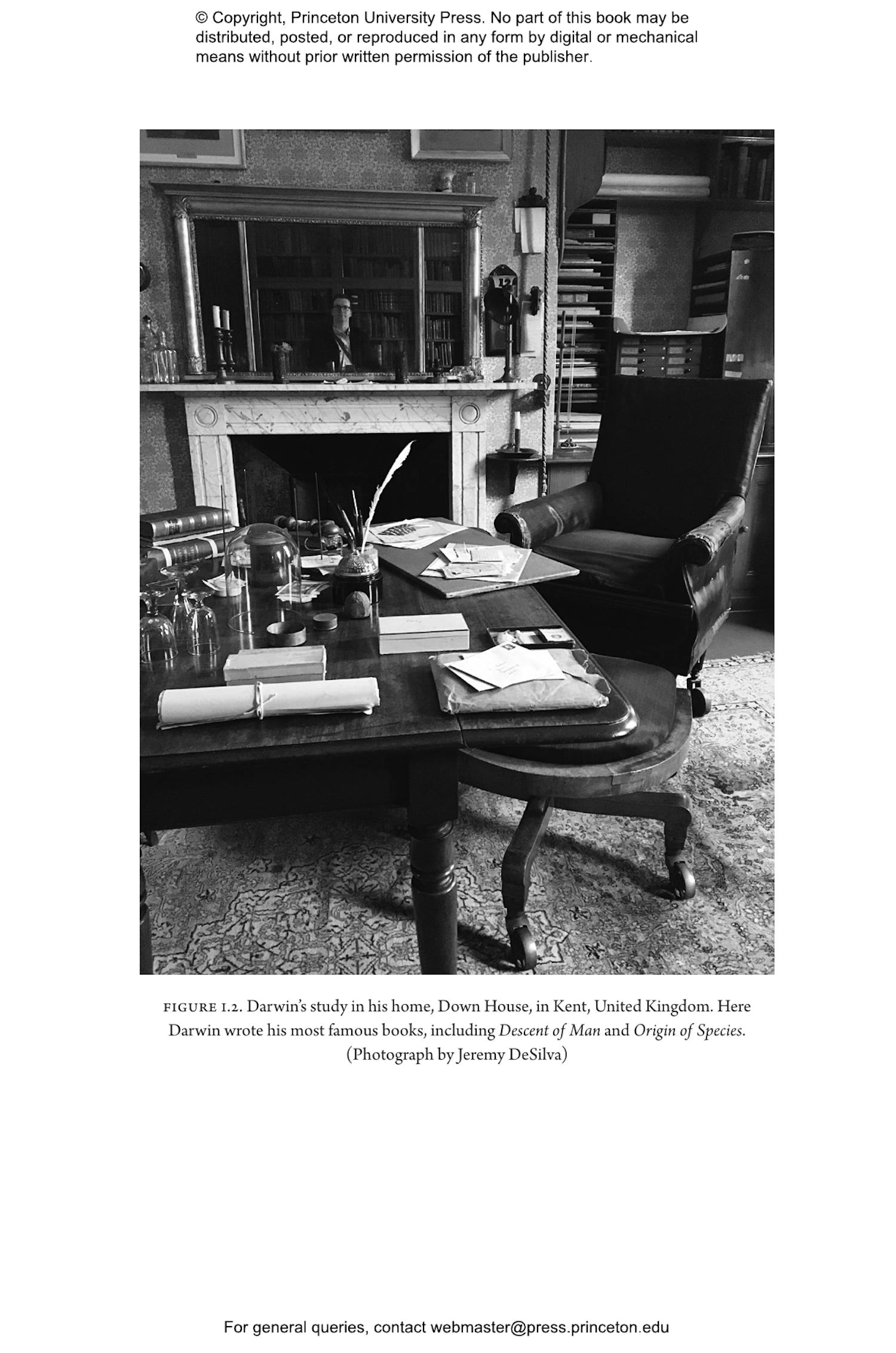 A Most Interesting Problem | Princeton University Press