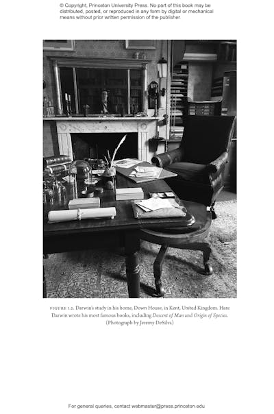 A Most Interesting Problem | Princeton University Press