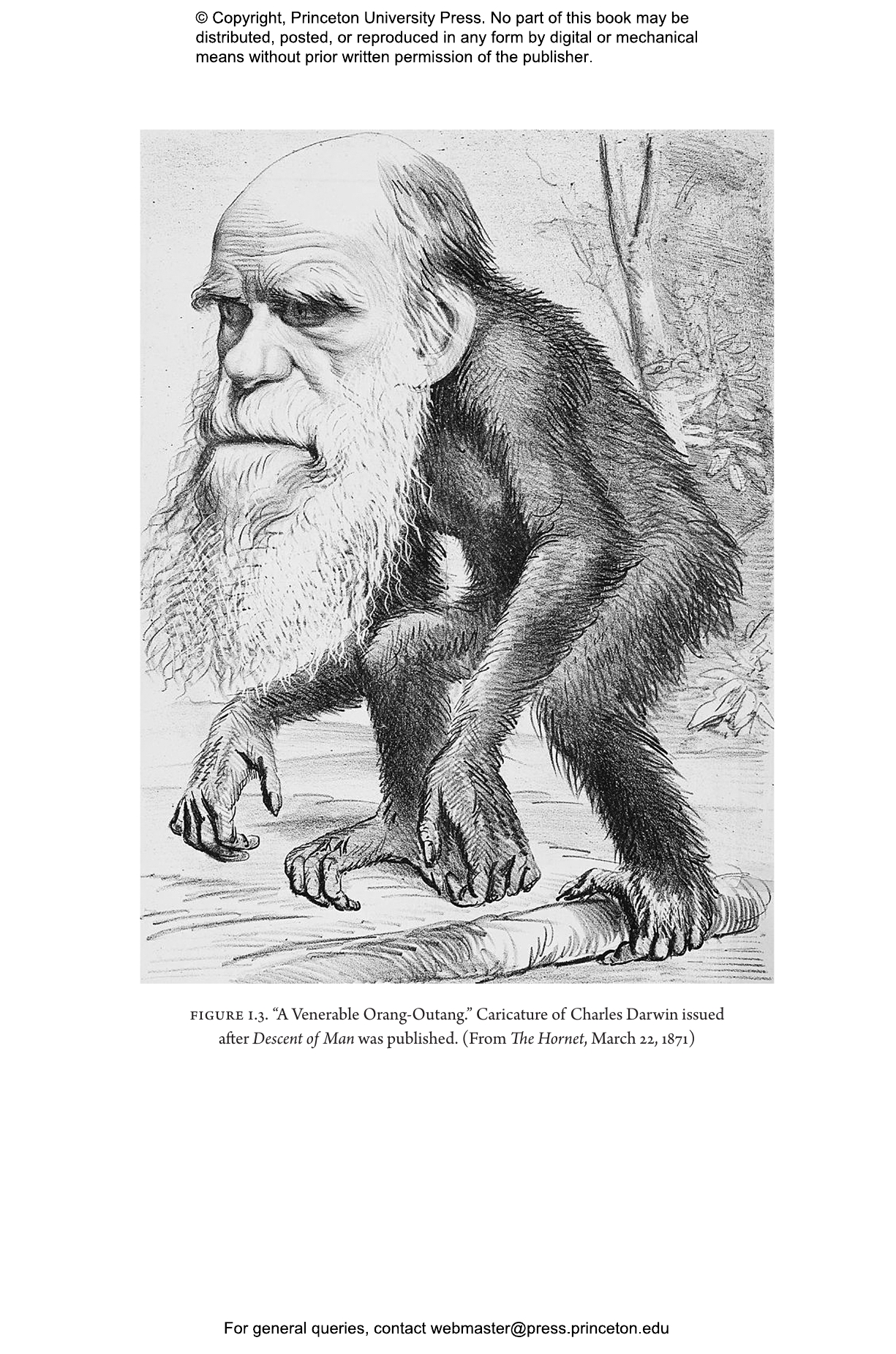 A Most Interesting Problem | Princeton University Press A Most Interesting Problem | Princeton University Press